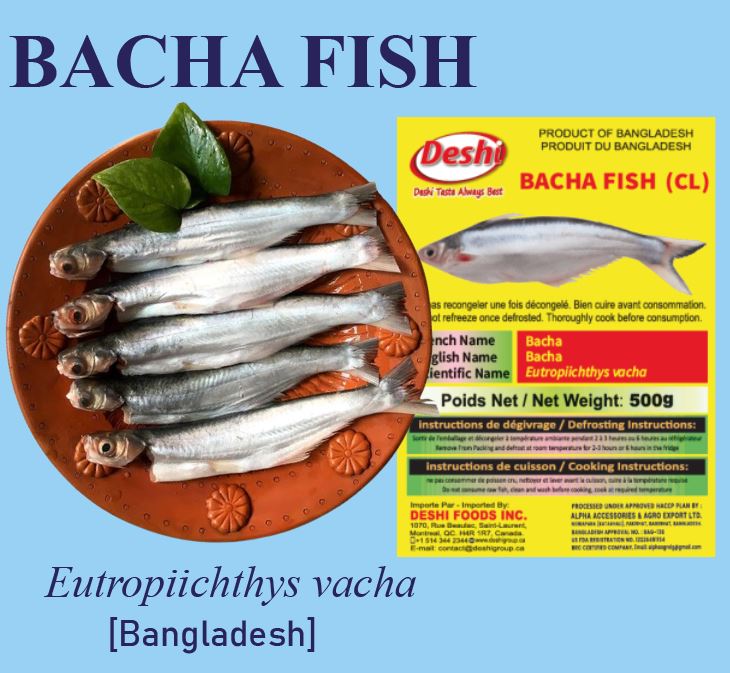 BACHA FISH (500G) BOX - Deshi Group